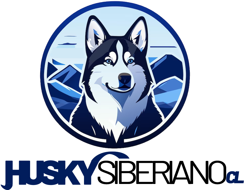 Husky Siberiano - Criadero en Chile - Tu Cachorro a un paso